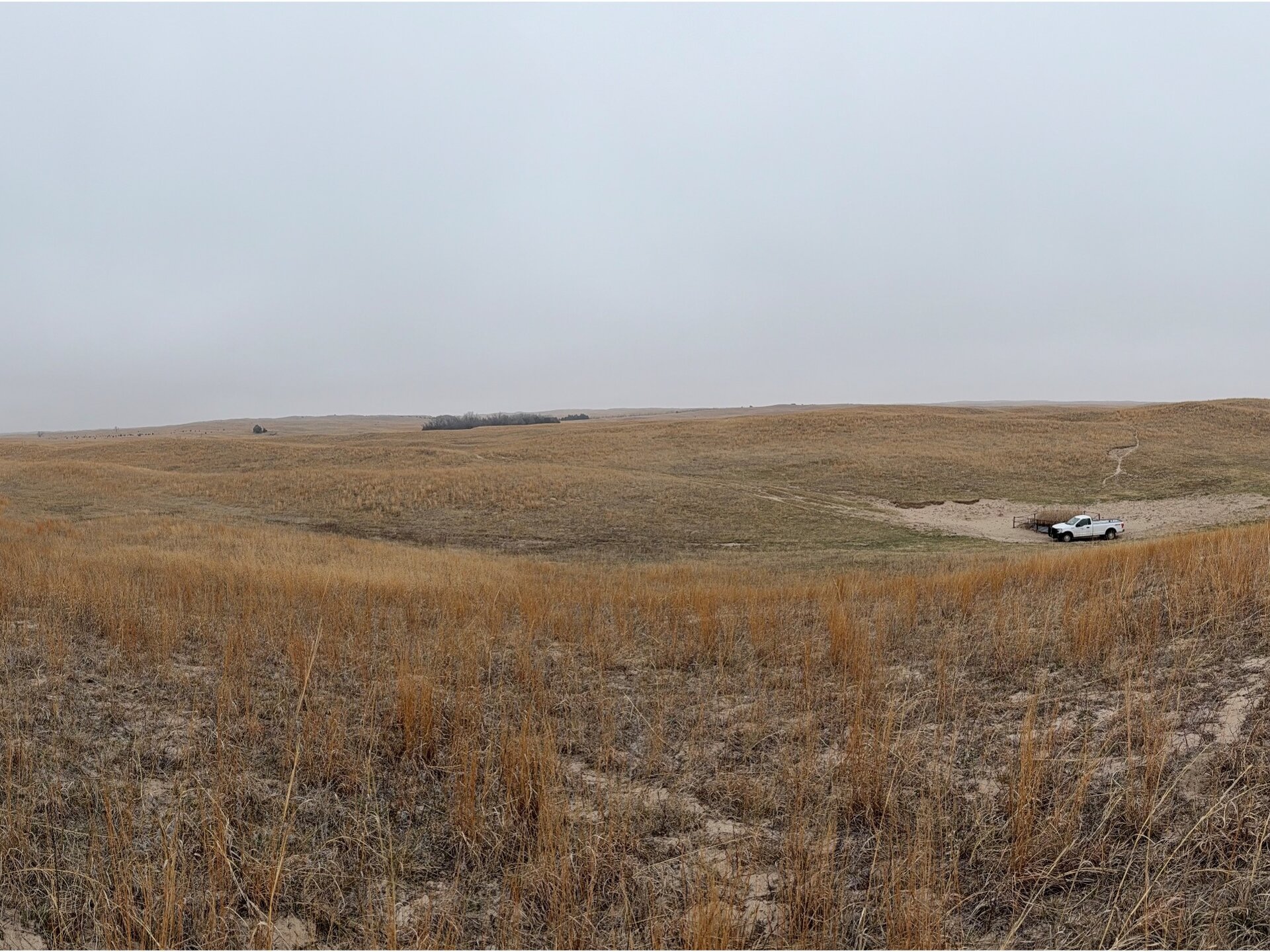 Rangeland & Vegetation Recovery following Wildfire | Wildfire Recovery ...