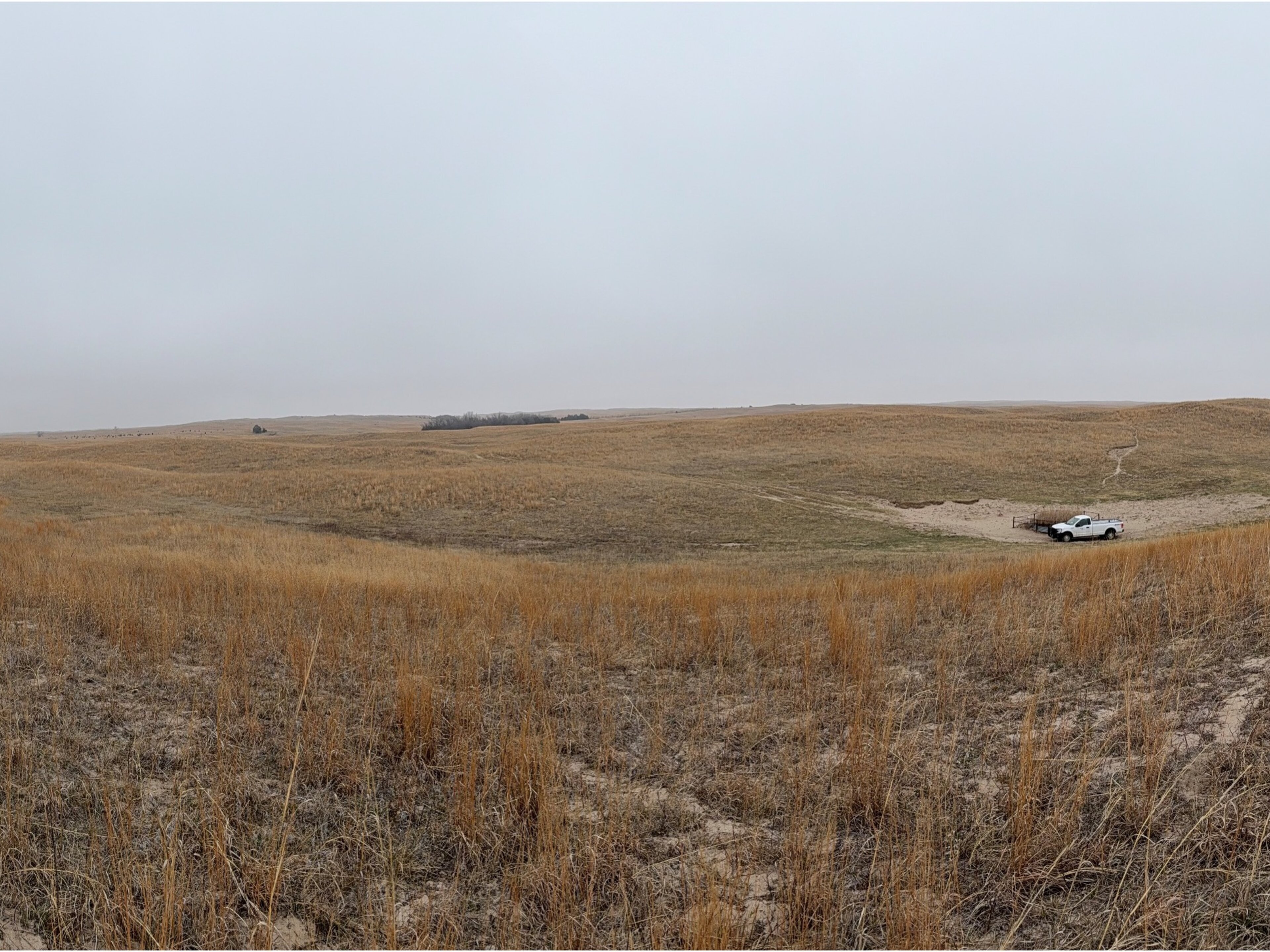Rangeland & Vegetation Recovery following Wildfire | Wildfire Recovery ...